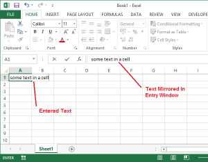 Excel 2013 - Text Entry - Chimpytech